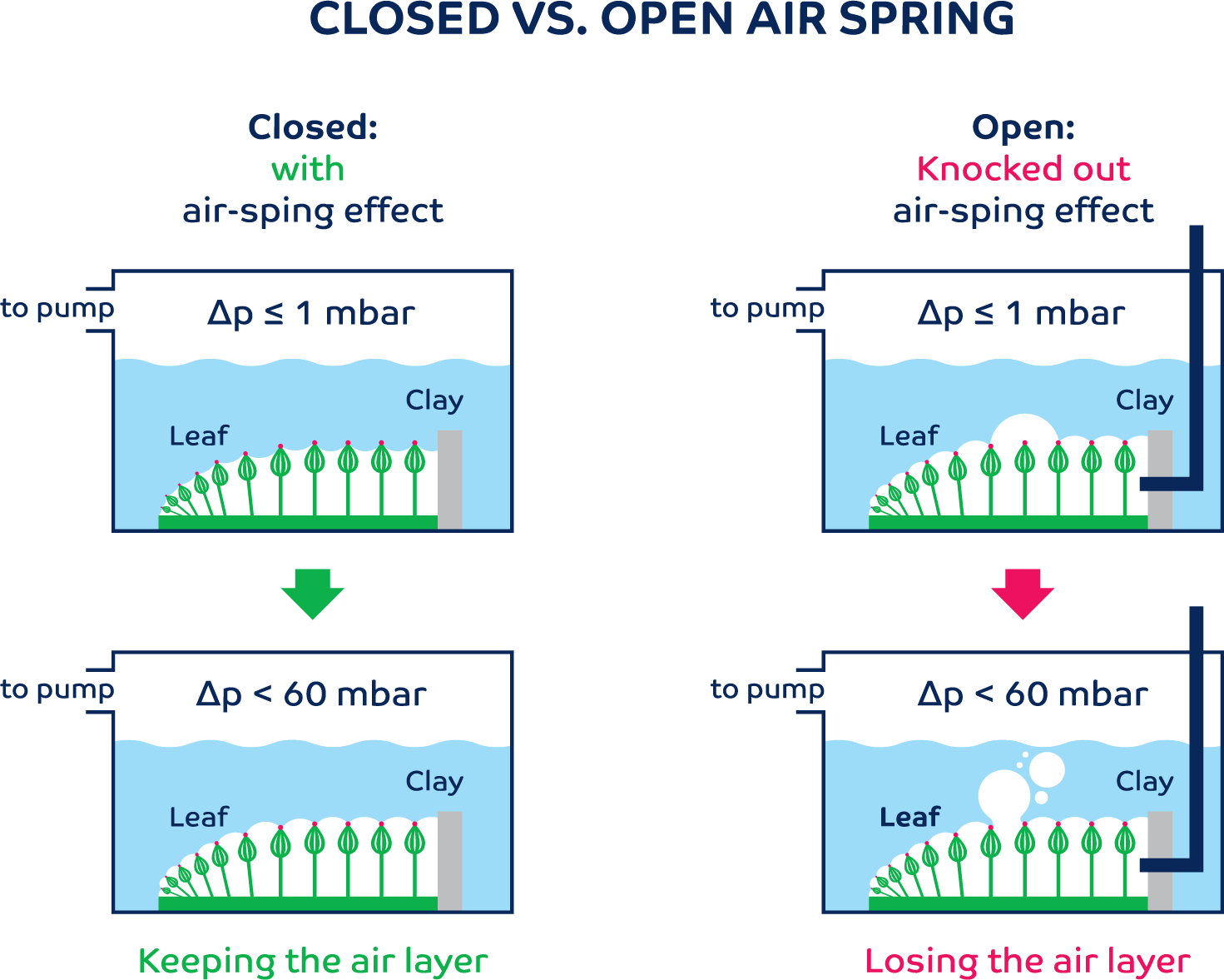 Salvinia Effect | AIRCOAT